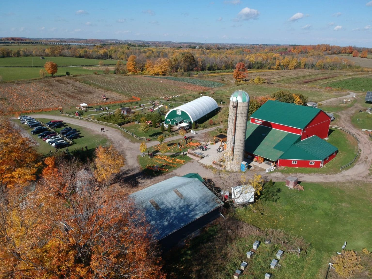 Durham Countryside Farm for Families | Forsythe Family Farms