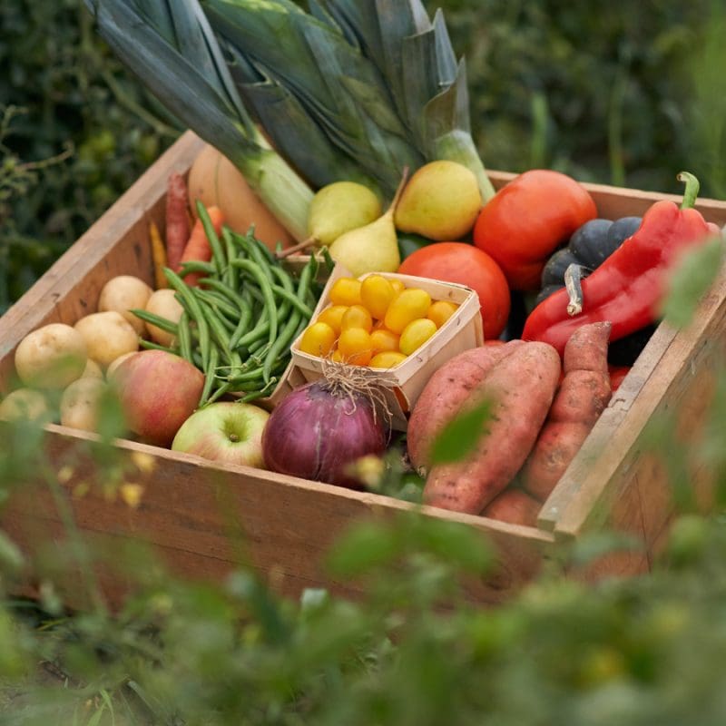 CSA – Community Supported Agriculture – Loving Locally Grown – Forsythe ...