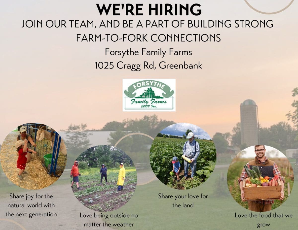 Employment Opportunities – Forsythe Family Farms