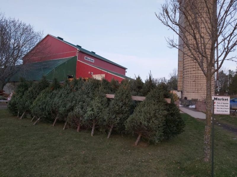 Connect to the countryside @ Forsythe Family Farms! Home